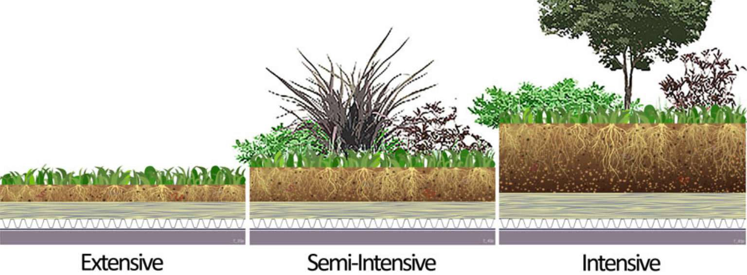 Guide to Green Roofs: Benefits & Step-by-Step Installation