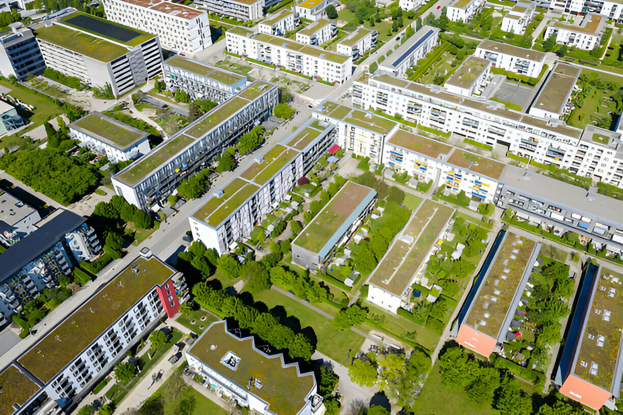 Guide to Green Roofs: Benefits & Step-by-Step Installation